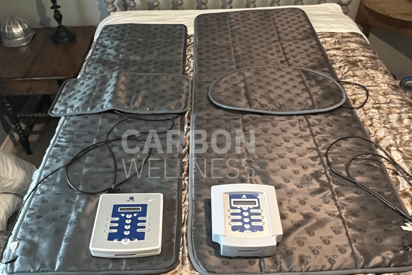 QRS 101 PEMF Home System - PEMF Therapy Device — Carbon Wellness MD
