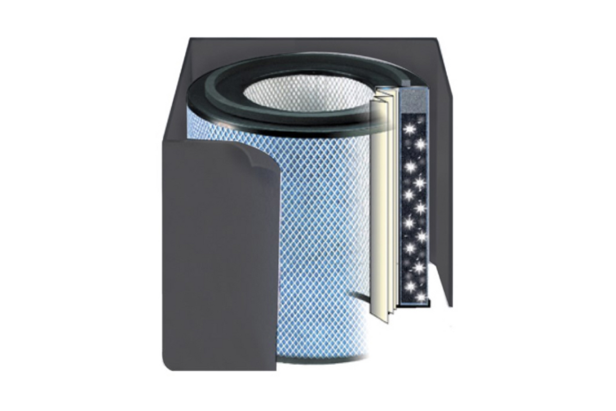 Austin Air Pet Machine Filter — Carbon Wellness MD